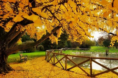 Romantic stops in and around Modena - VisitModena