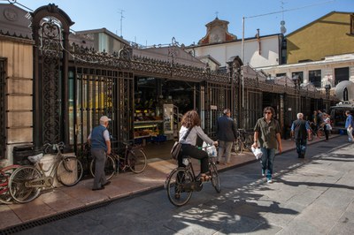 Tra Modena e le Terre di Castelli - VisitModena